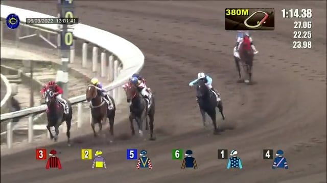 Power - Stallion | Breednet