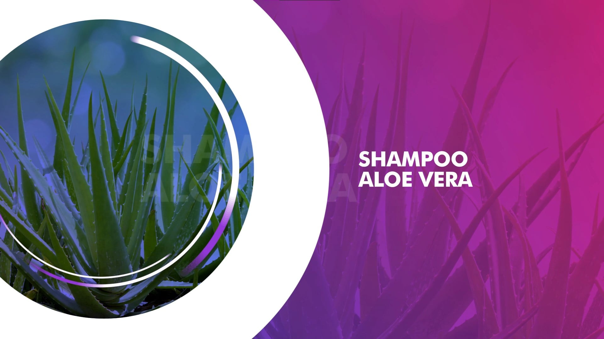Shampoo aloevera.mp4 on Vimeo