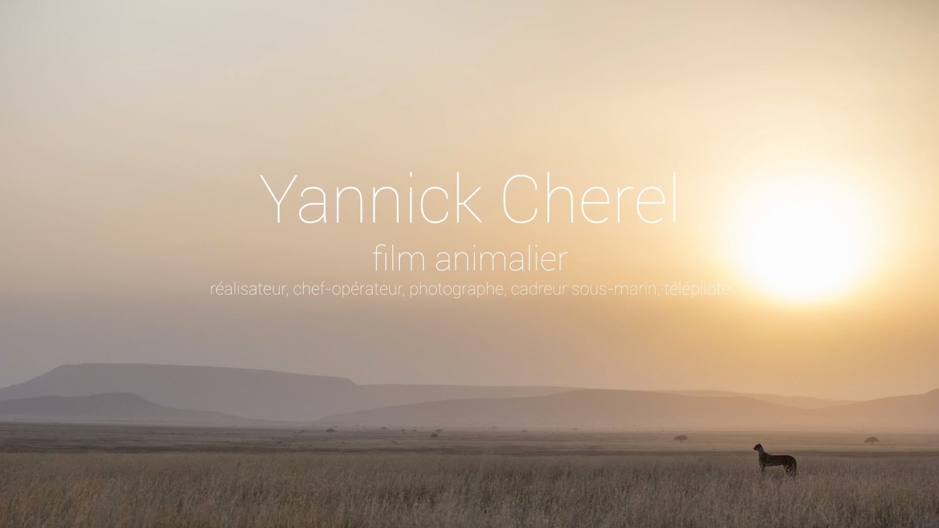Accueil | Yannick Cherel