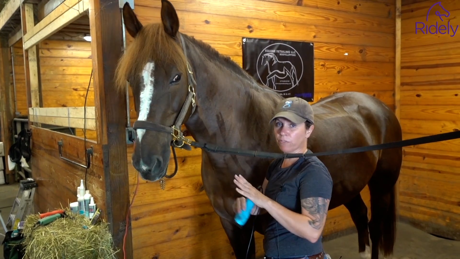 Body Clipping Basics | Ridely