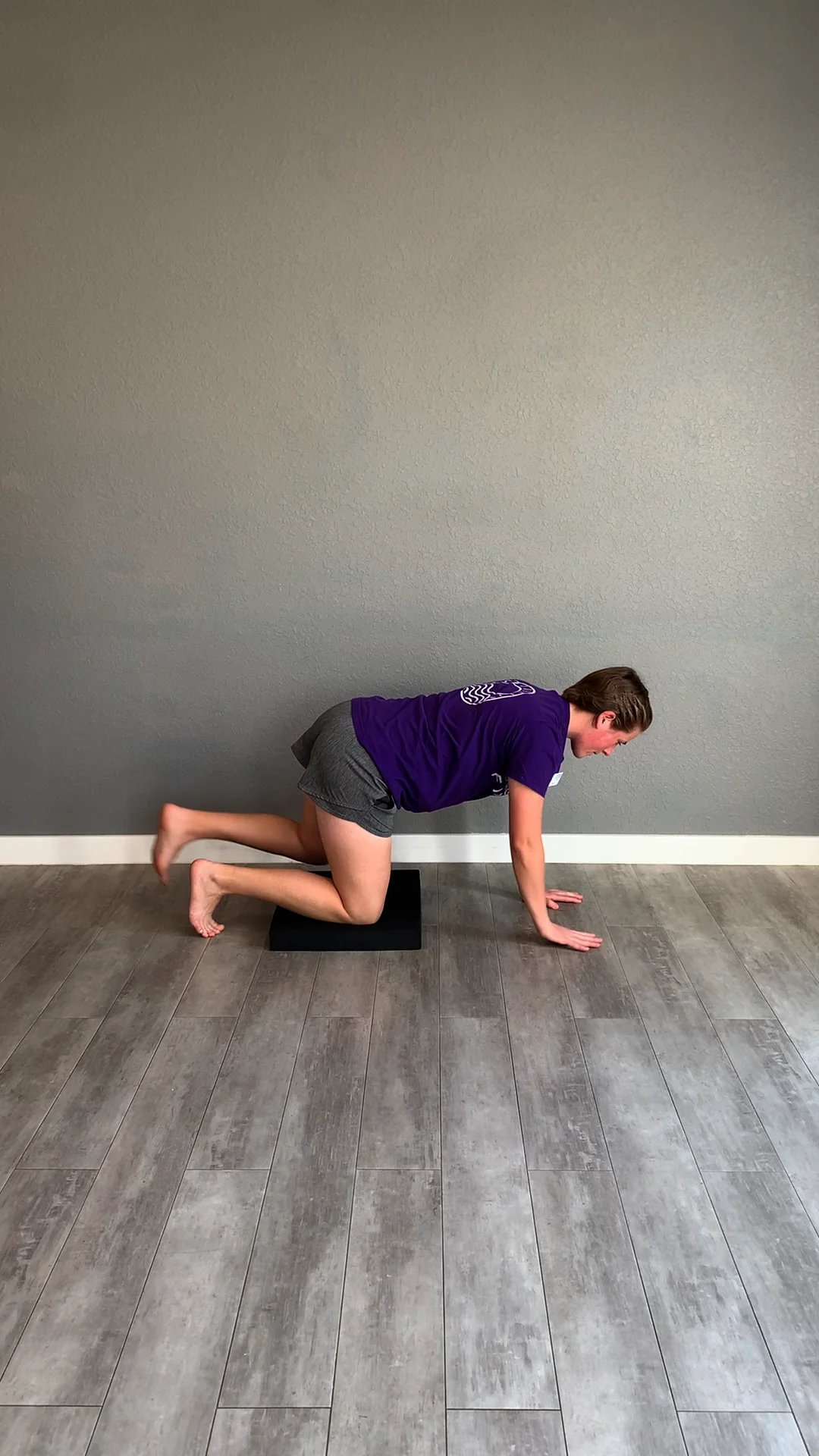 Modified Bird Dogs on Vimeo