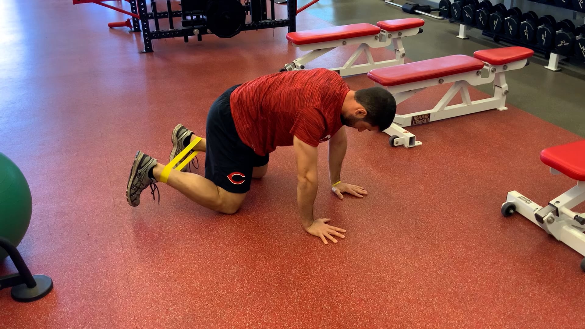 Mini Band Quadruped Hip IR on Vimeo