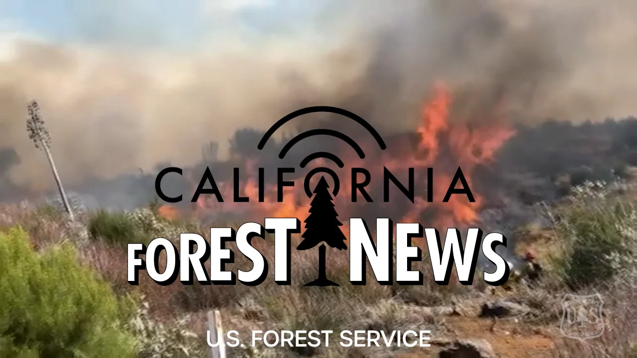How We Fight Wildfires: Direct vs Indirect Attack on Vimeo