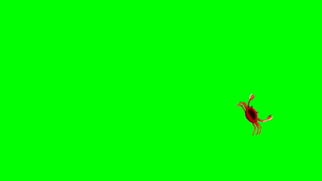 Dancing Videos: Download 512+ Free 4K & HD Stock Footage Clips - Pixabay
