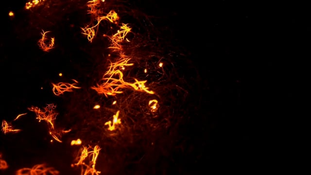 Fire Night Burn - Free video on Pixabay