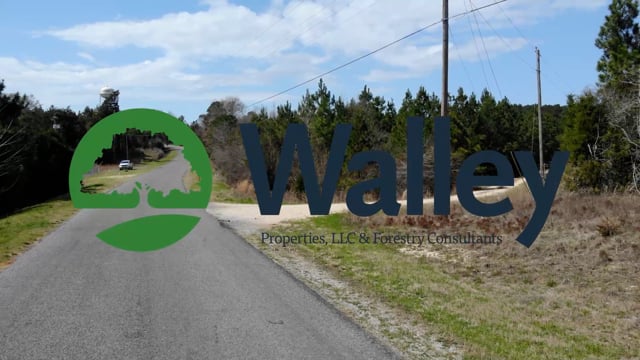 Paulding, Jasper County, MS Recreational Property, Timberland Property ...