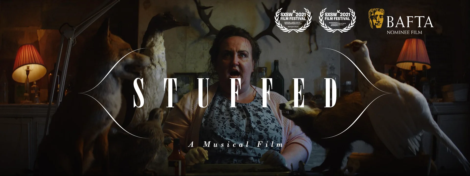 Stuffed in Vimeo Staff Picks on Vimeo