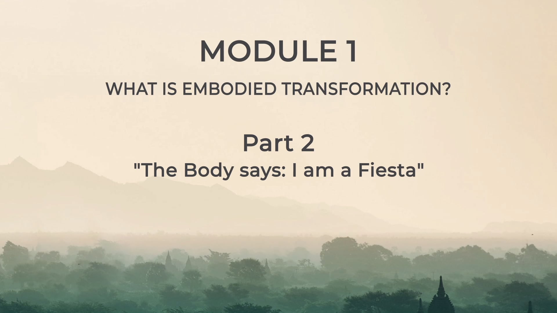 Module 1: What is Embodied Transformation? - learn.therapywisdom.com