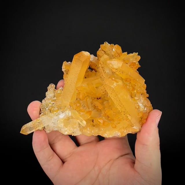 Quartz w/ Limonite coating (rare Swiss style) Brent Lockhart Coll ...
