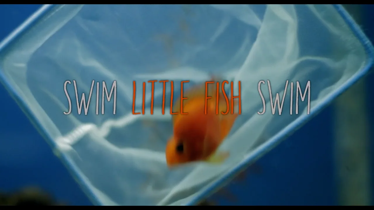 Bande-annonce SWIM LITTLE FISH SWIM on Vimeo