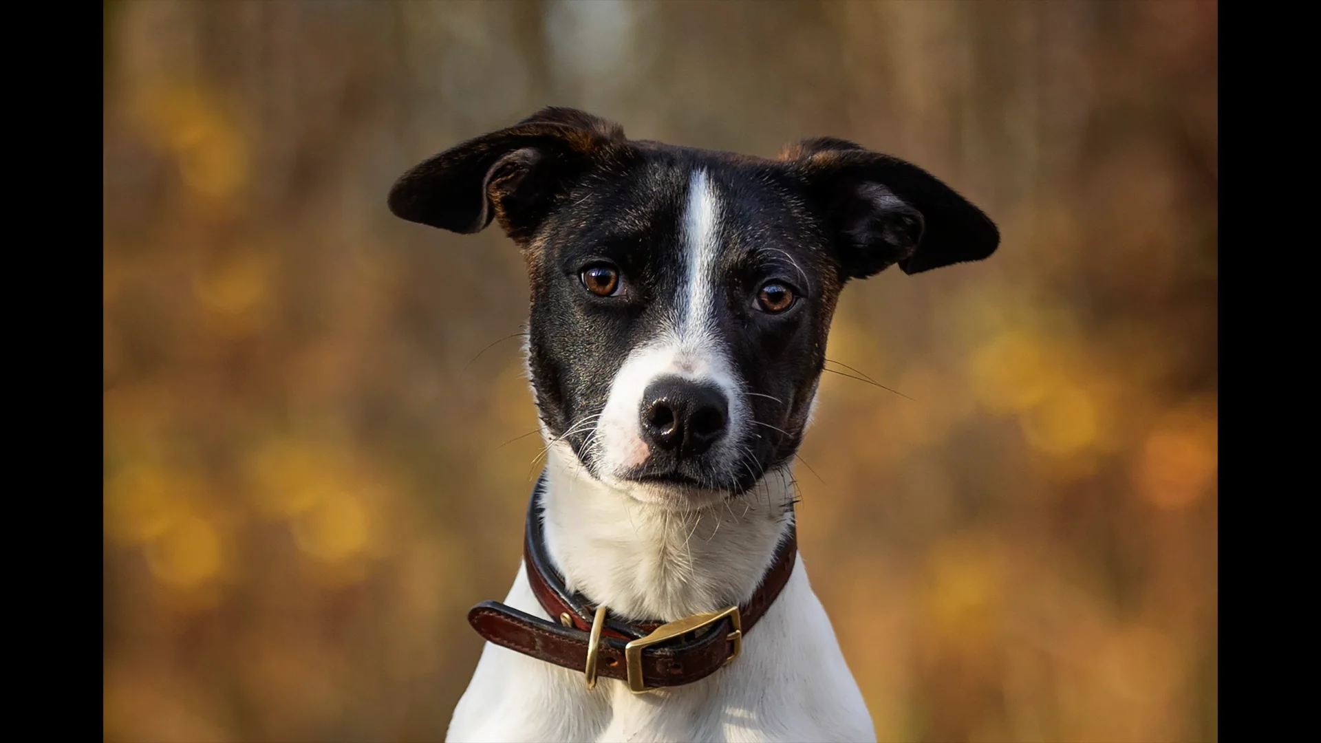 Bix First Speed Circle.m4v on Vimeo