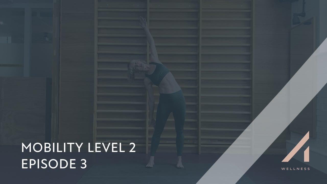 MOBILITY LEVEL 2 EPISODE 3 on Vimeo
