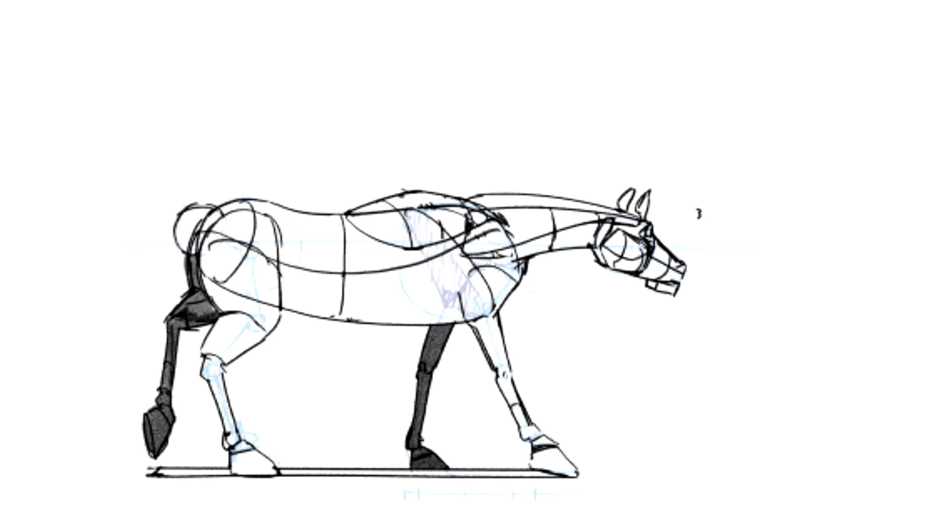 animation-examples-march-2022-on-vimeo