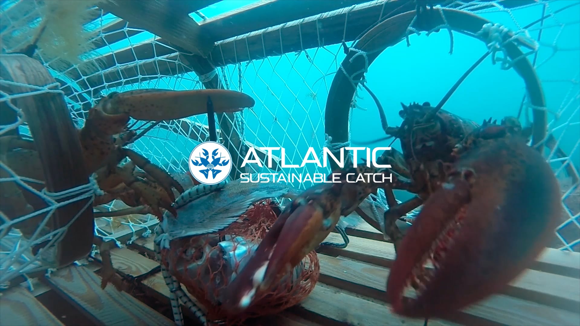 Atlantic Sustainable Catch
