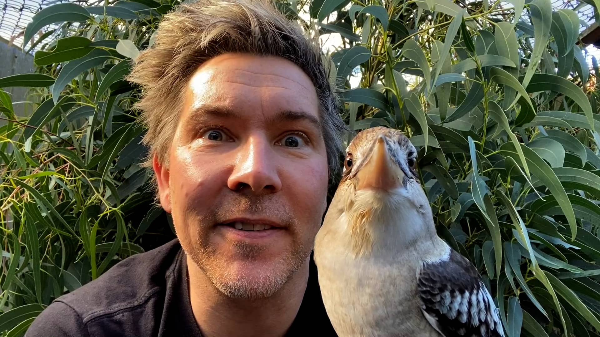 Chris Humfrey’s Wild Action Sizzle on Vimeo