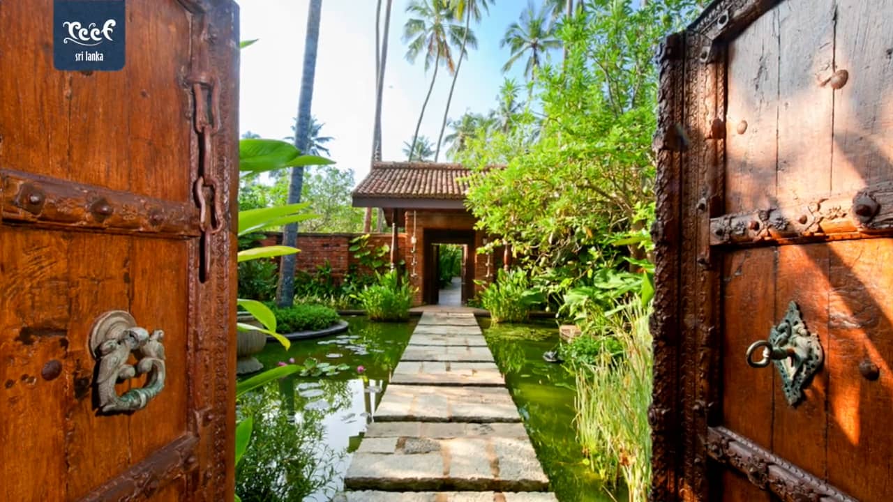 Reef Sri Lanka on Vimeo