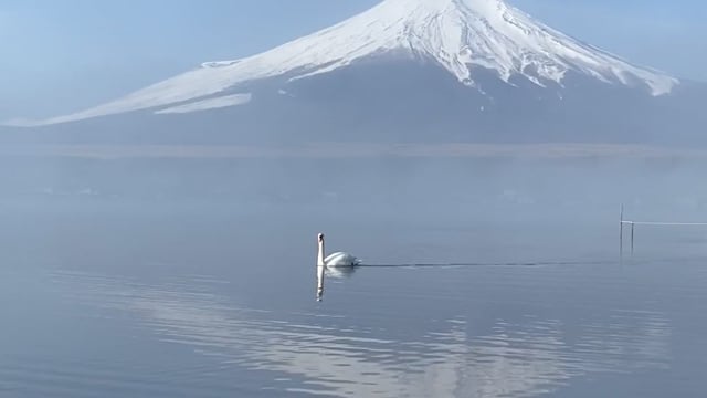 Swan Lake Japan Mount - Free video on Pixabay