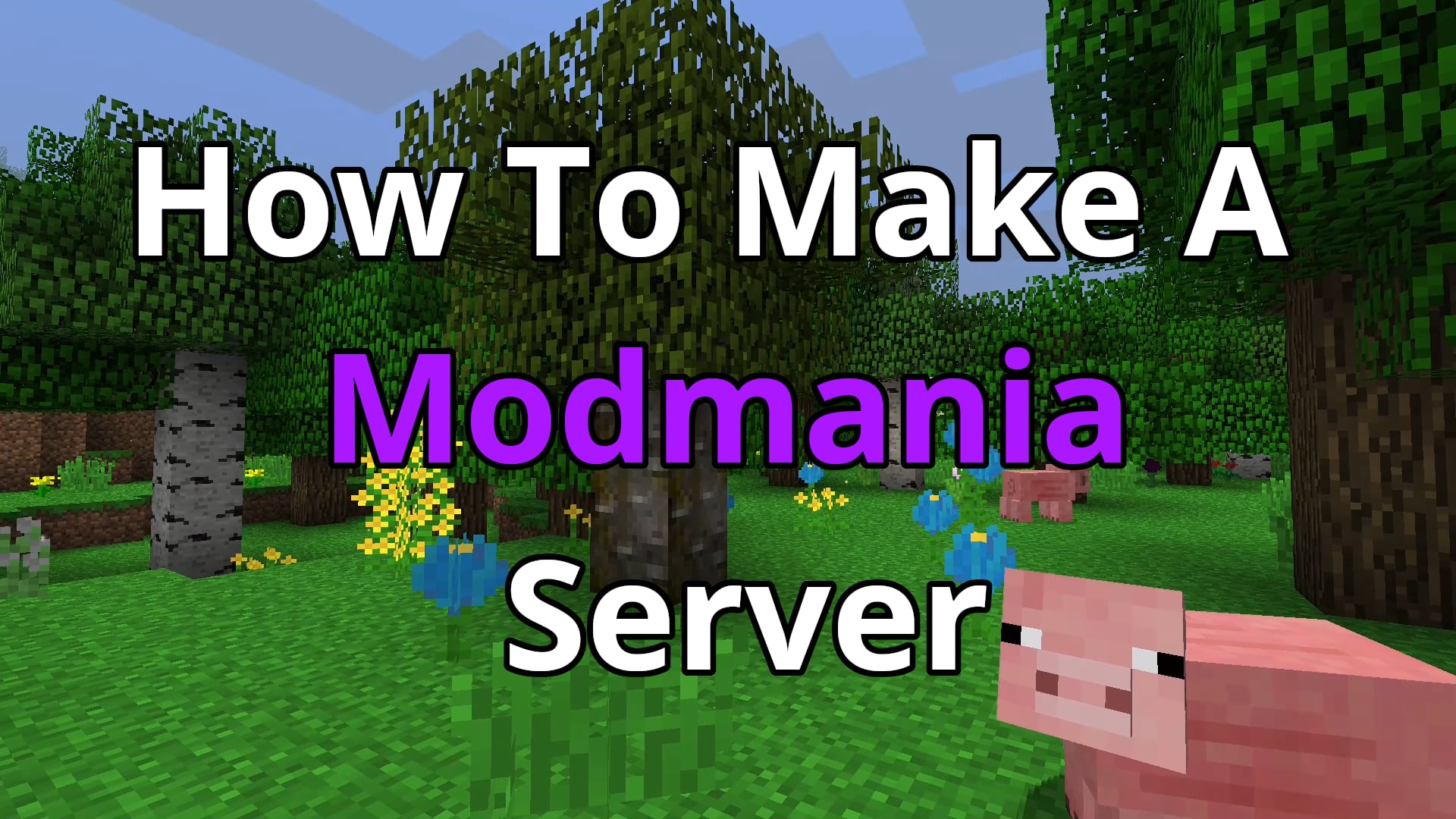 How To Make A Modmania Server - Modmania Server Hosting on Vimeo