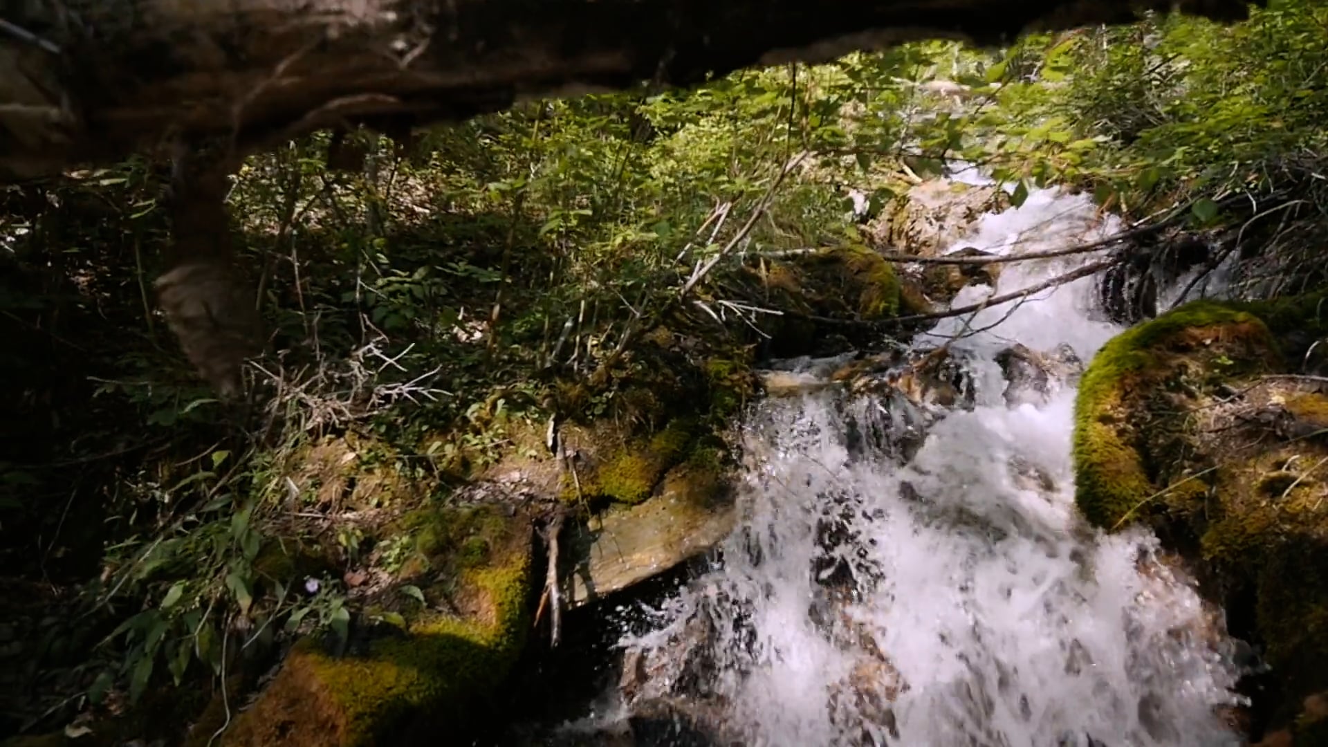 Royal Antler Ranch - Finest Mountain Ranch Retreat in North America