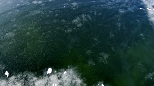 30+ Free Under Water & Ice Videos, HD & 4K Clips - Pixabay