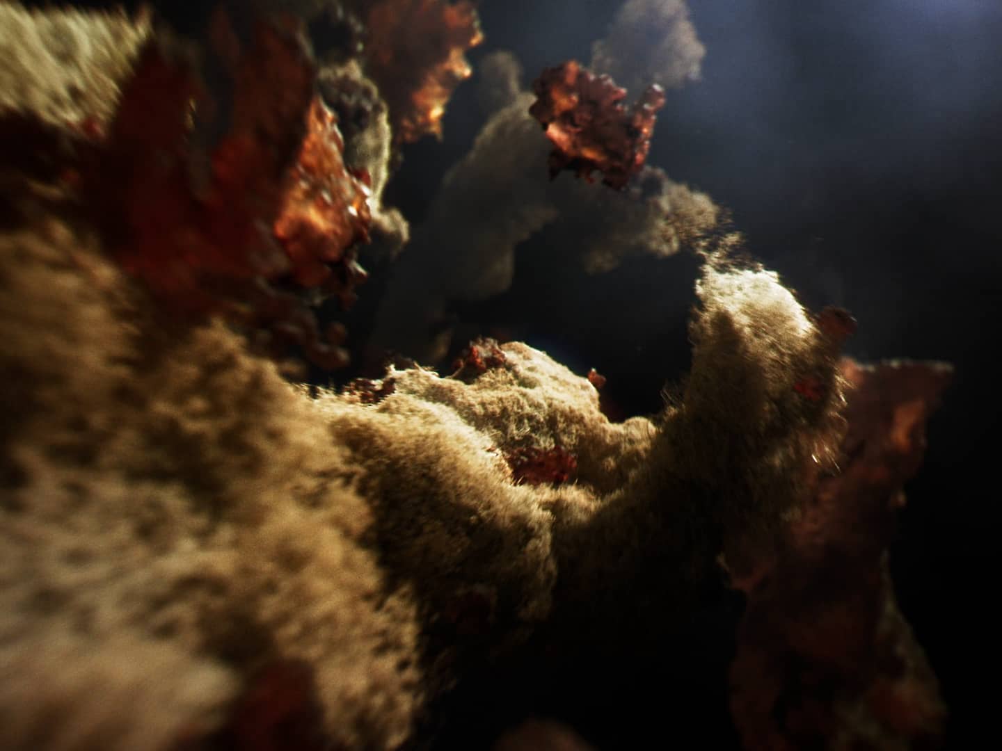 Guinness Goodness on Vimeo