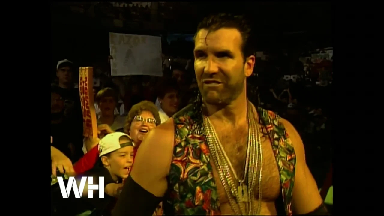 Shawn Michaels vs Razor Ramon Ladder Match Summerslam 1995 Highlights ...