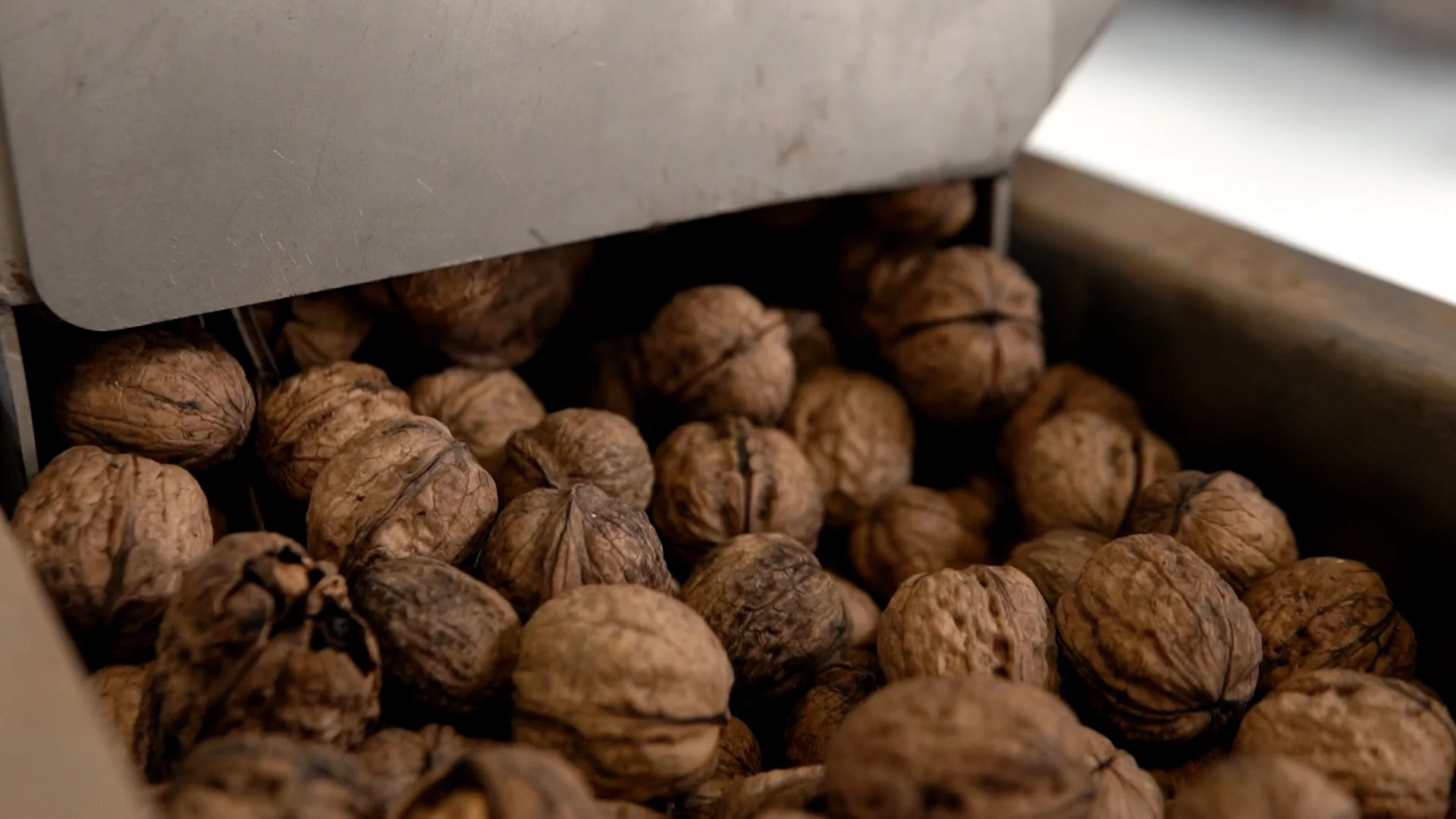 Sutter Foods on Vimeo