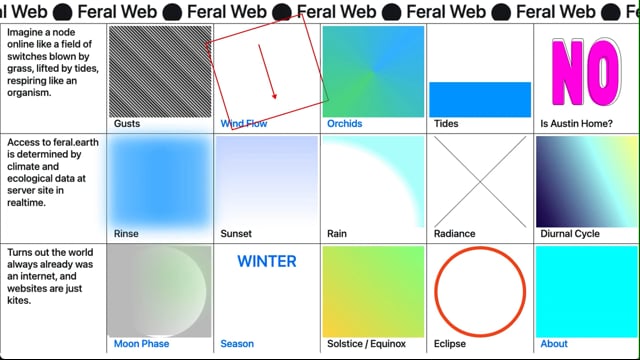 feral earth | HOVERSTAT.ES