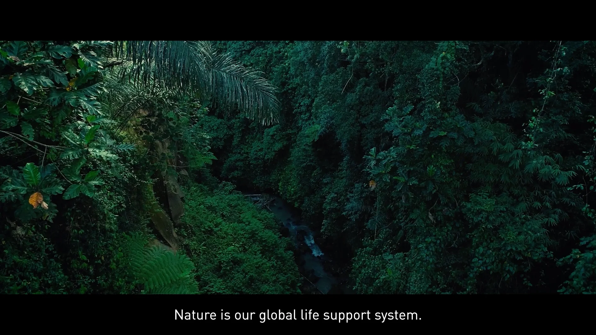 Range of references - 4943 - Unilever - In Our Nature - Trailer ...