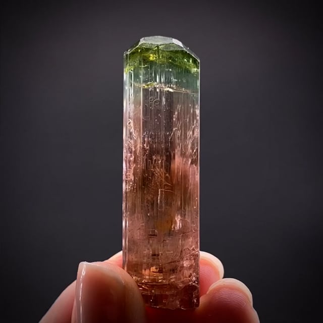 Tourmaline Var. Elbaite, "Blue-Cap" - TUC14-55 - Sapo Mine - Brazil ...