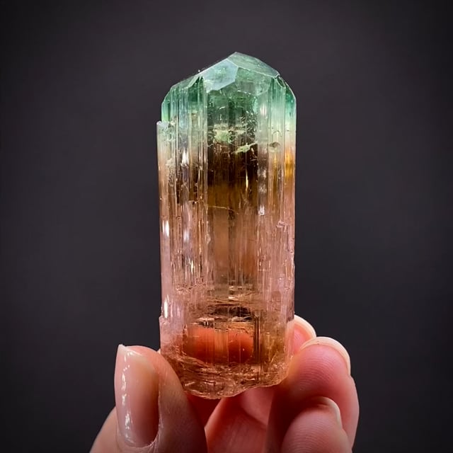 Tourmaline Var. Elbaite, "Blue-Cap" - TUC14-55 - Sapo Mine - Brazil ...