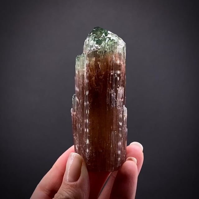 Elbaite Tourmaline - SM20-451 - Sapo Mine - Brazil Mineral Specimen