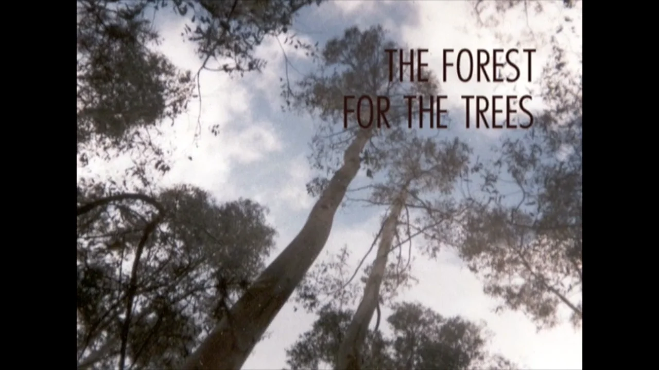 Watch The Forest For The Trees Online | Vimeo On Demand on Vimeo