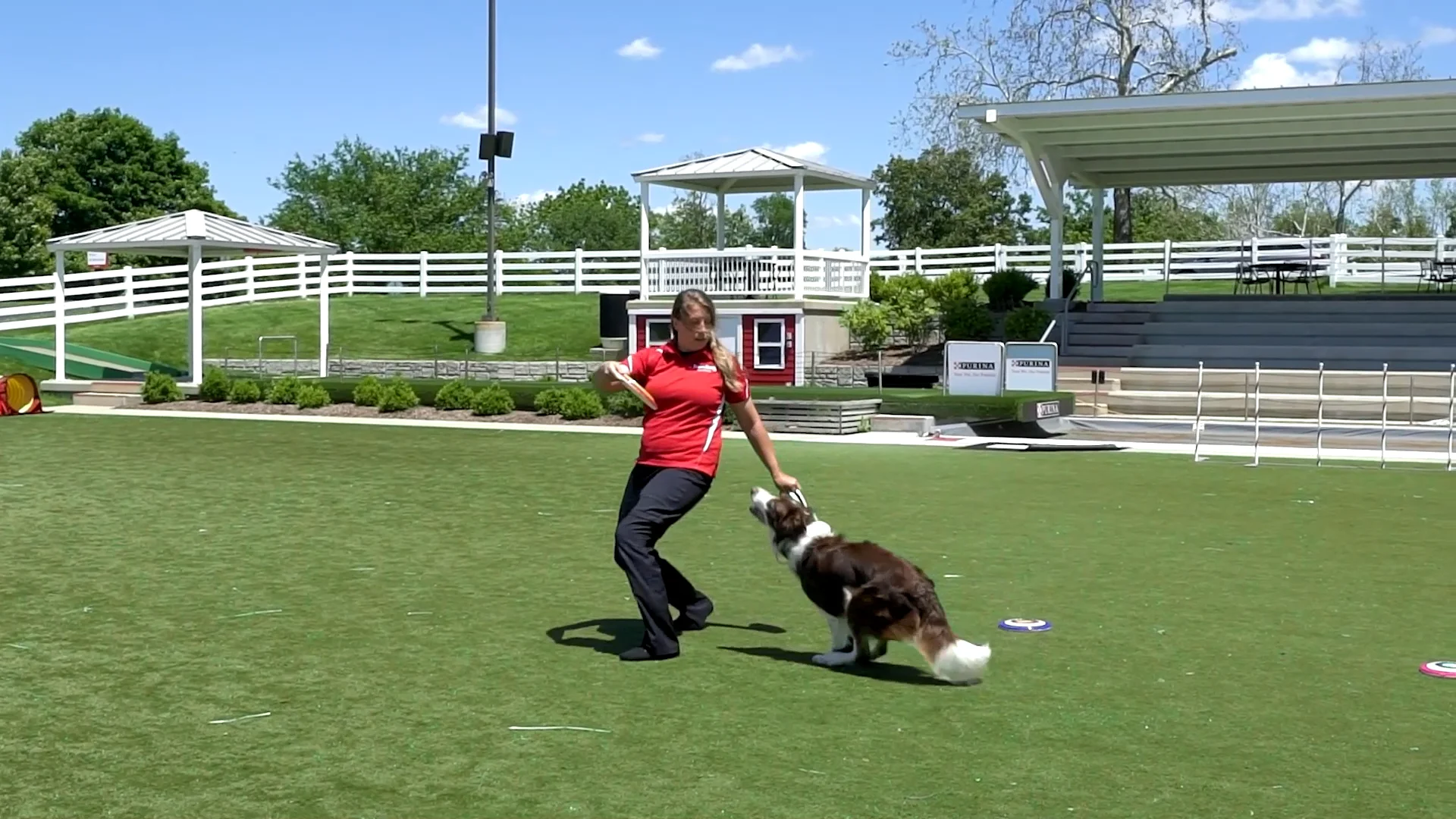 Meet Our Dogs - Meet Indy.mp4 on Vimeo