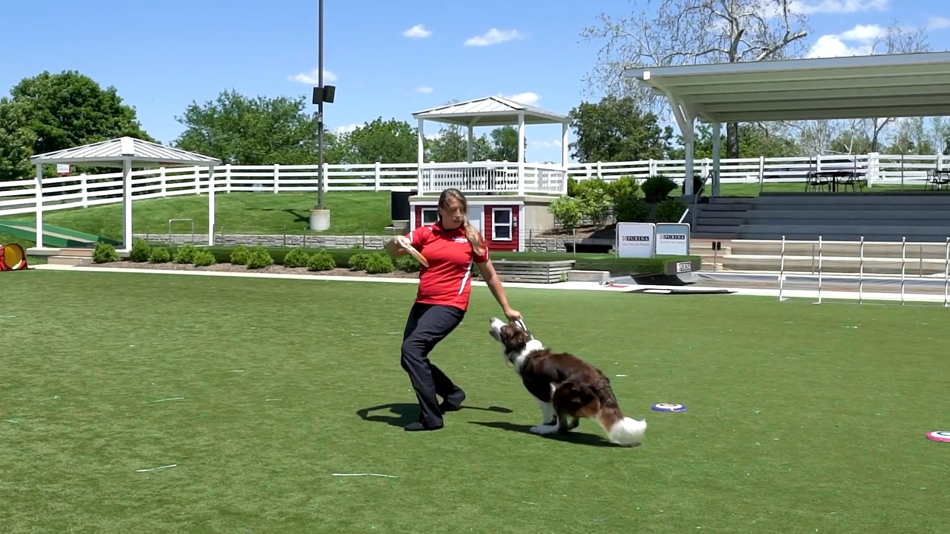 Meet Our Dogs - Meet Indy.mp4 on Vimeo