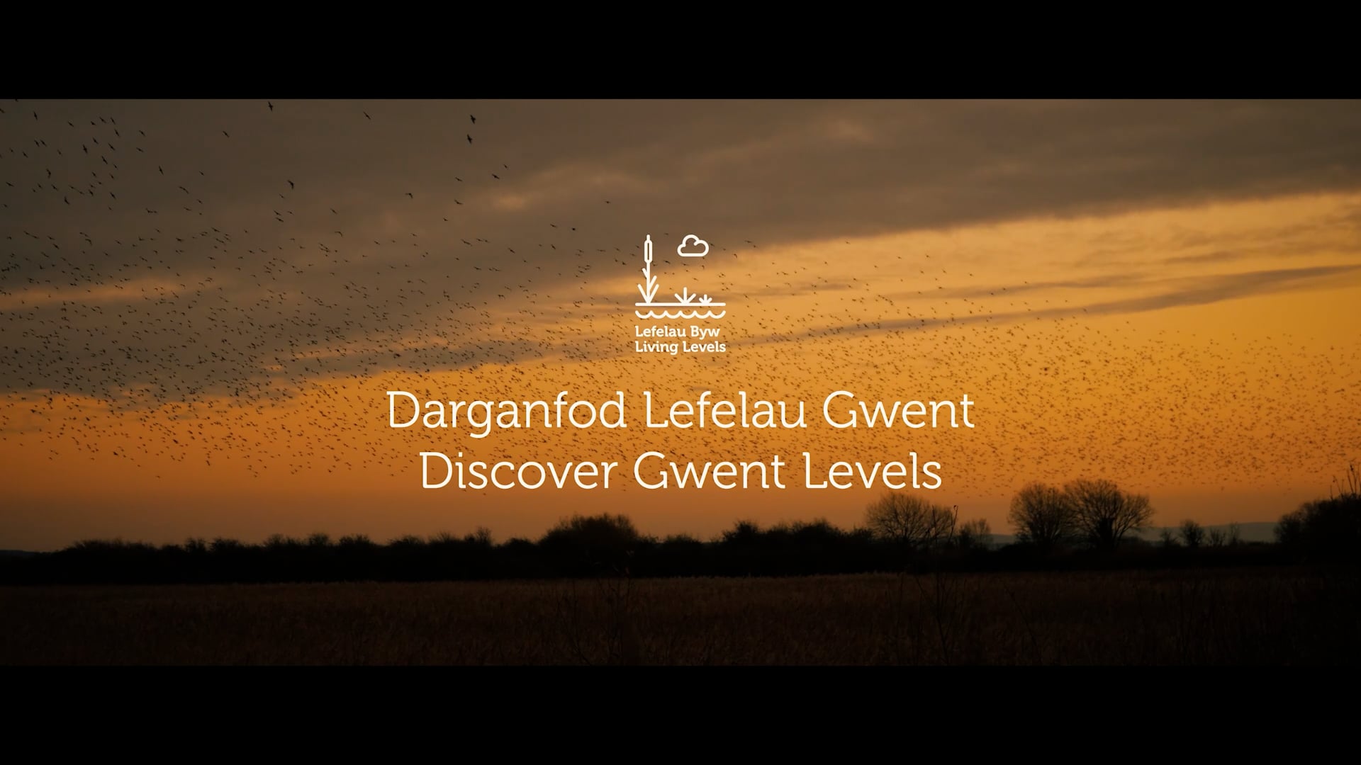 Living Levels - Discover Gwent Levels