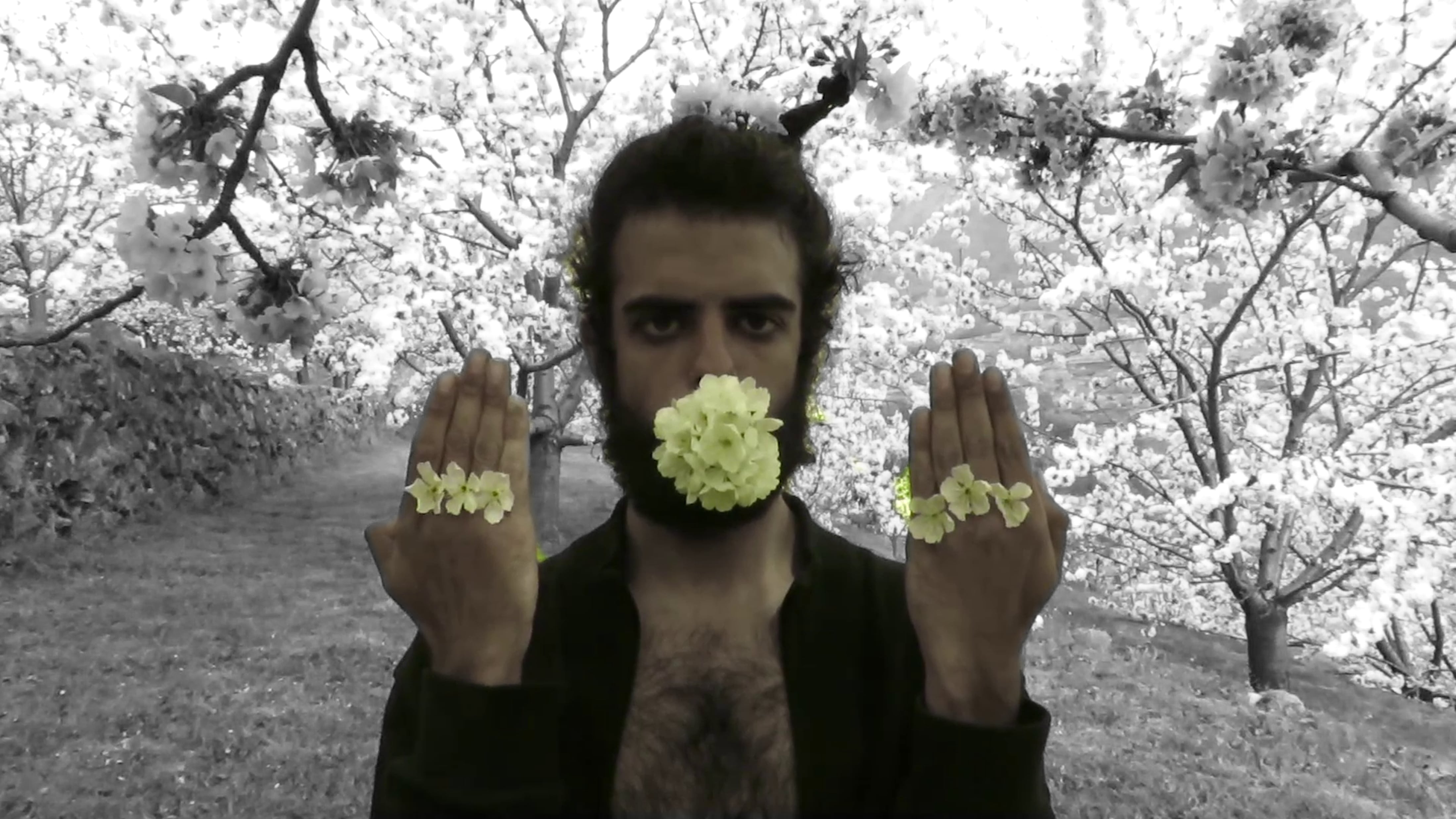 PASOS PARA ACOMPAÑAR UN DESFLORECIMIENTO / STEPS TO STAND BY A ...