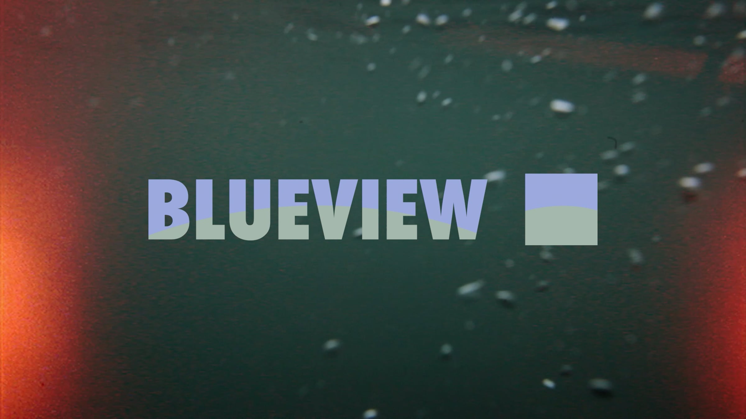 BLUEVIEW Footwear