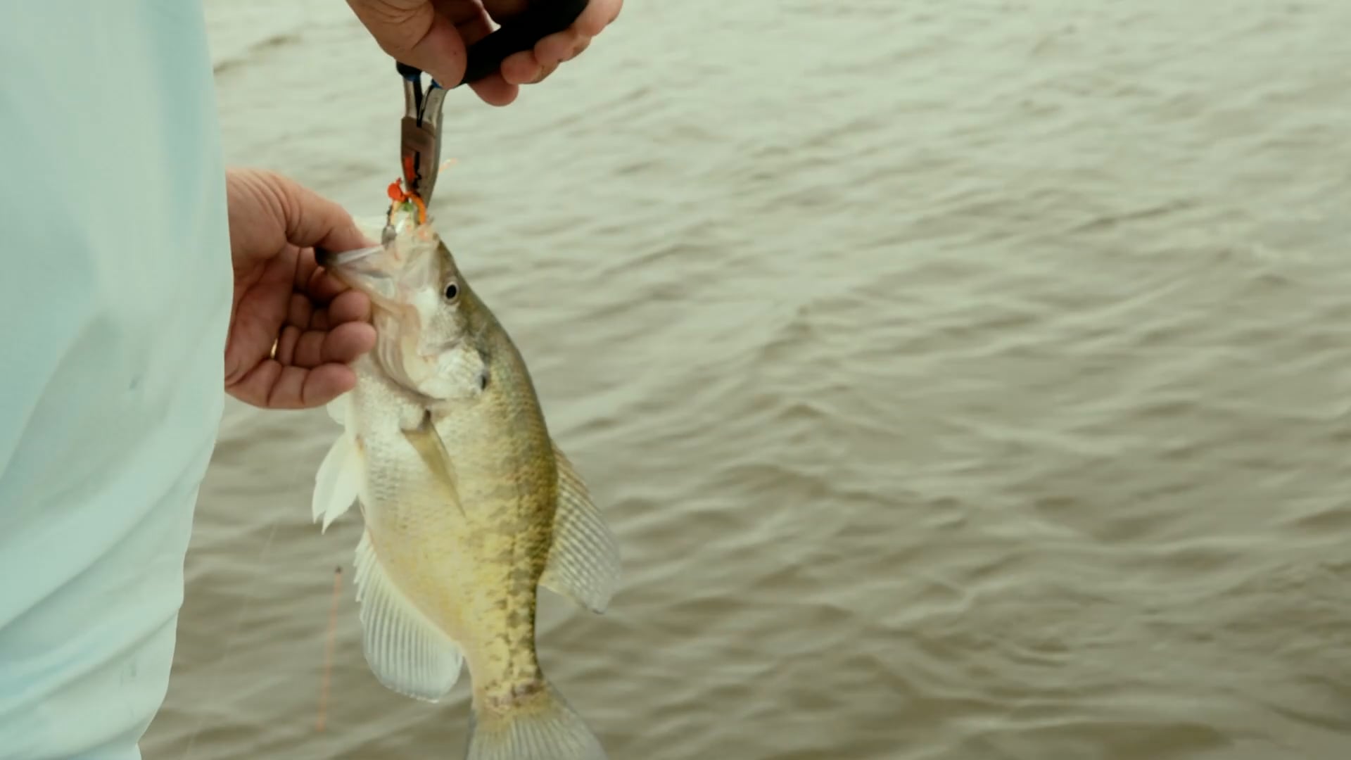 Legends of the Outdoors TV - Season 1 - Episode 3 - Paul Alpers on Vimeo