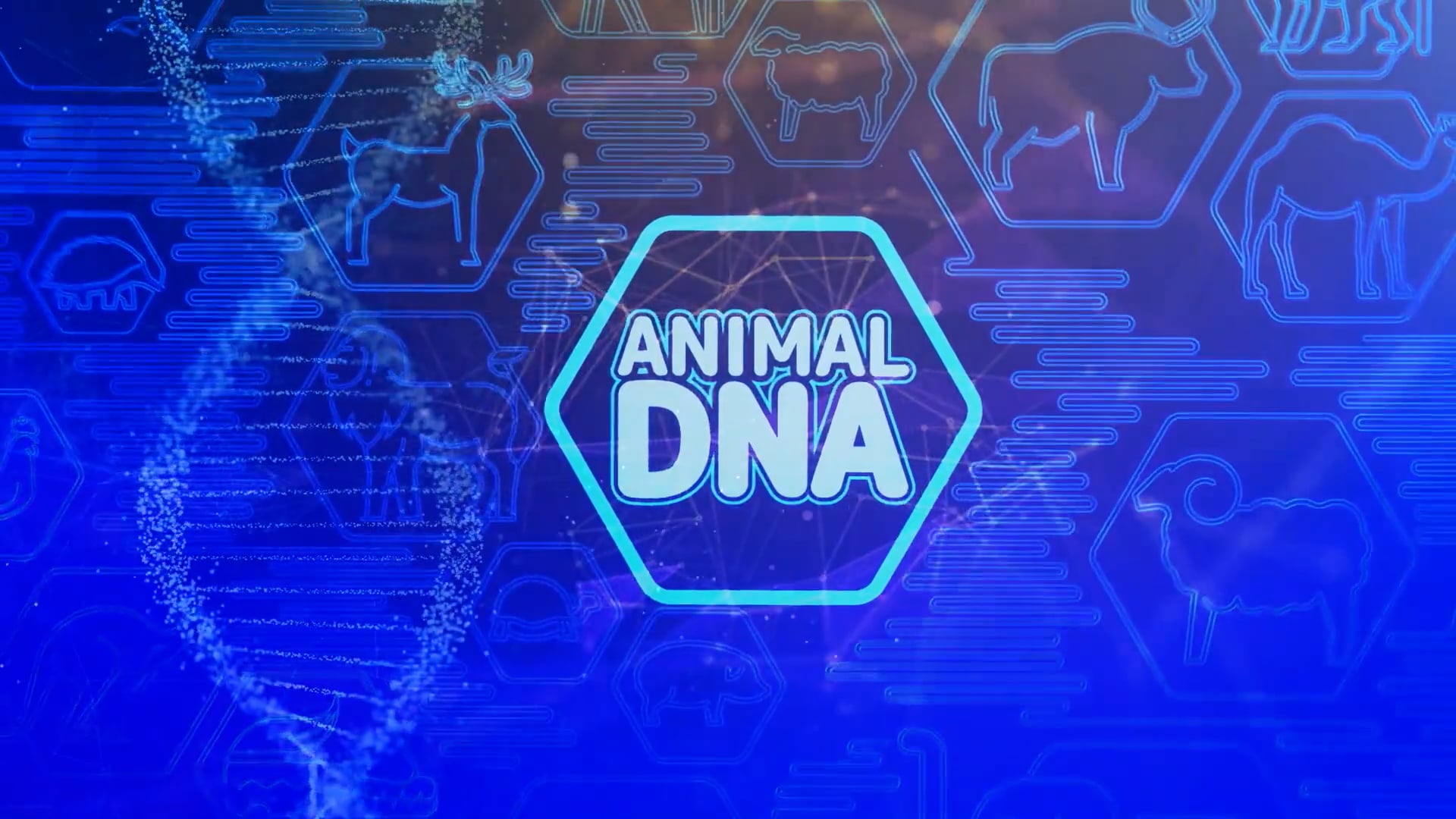 ADN Animal / Animal DNA - Animal DNA - Trailer on Vimeo