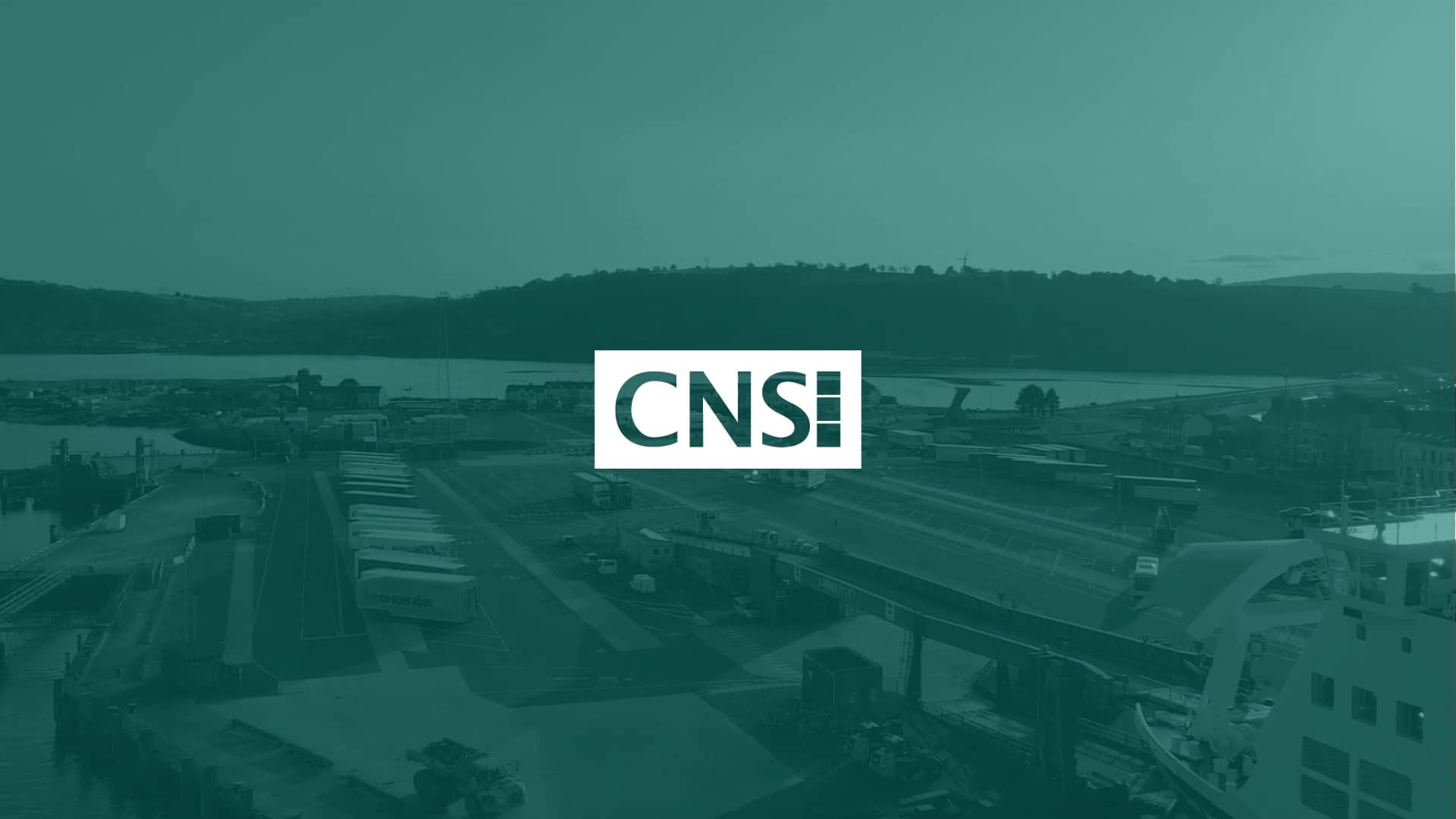 CNS: Animation on Vimeo