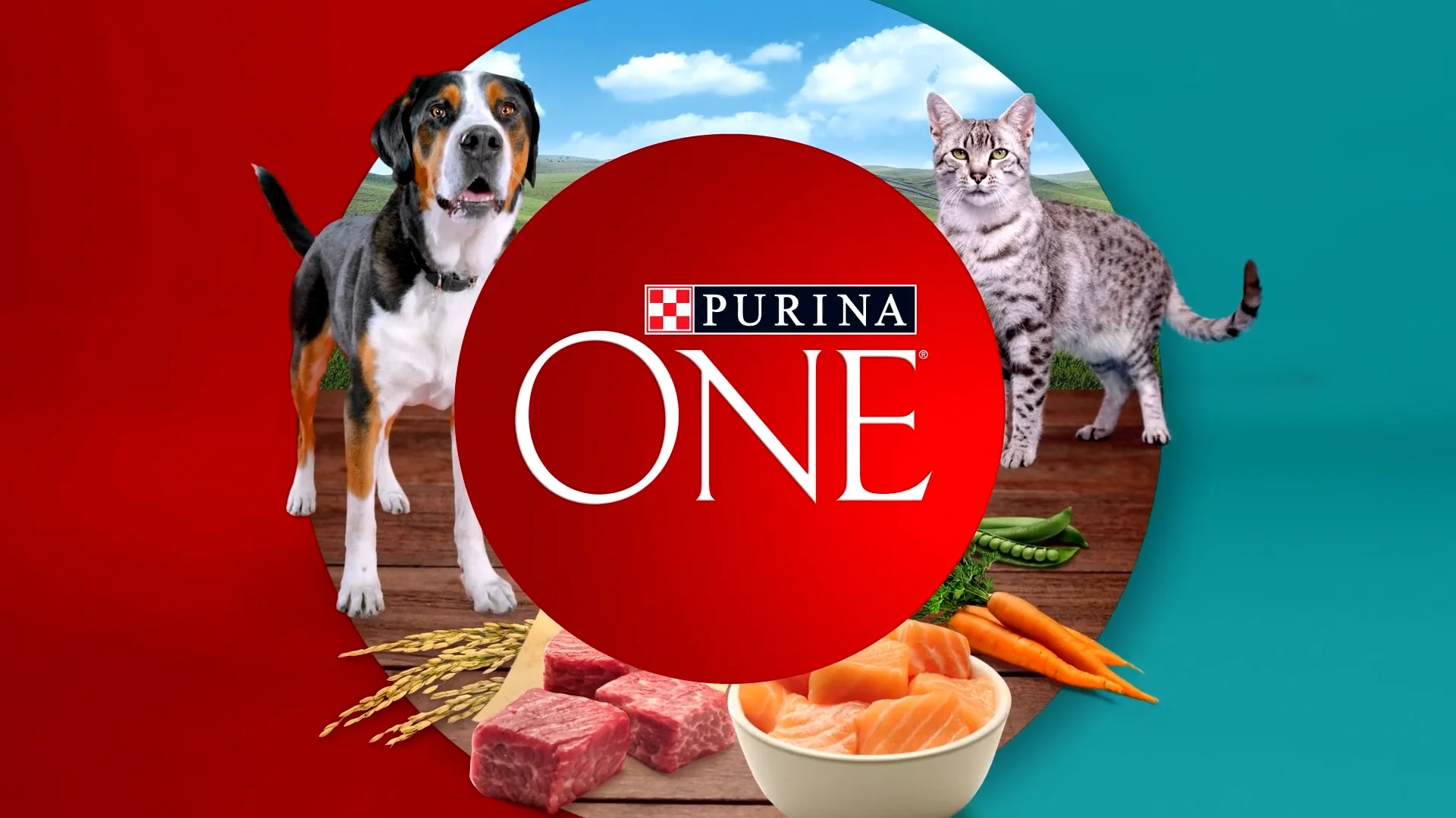 Purina One "Inside Story" on Vimeo