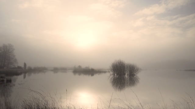 90+ Free Early Morning & Morning Videos, HD & 4K Clips - Pixabay