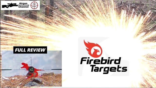 Firebird Targets - NUKE EM! - Best Hits w/ BIO65 Exploding Targets ...
