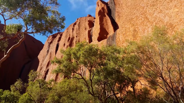 Aerial View Wilderness Land - Free video on Pixabay