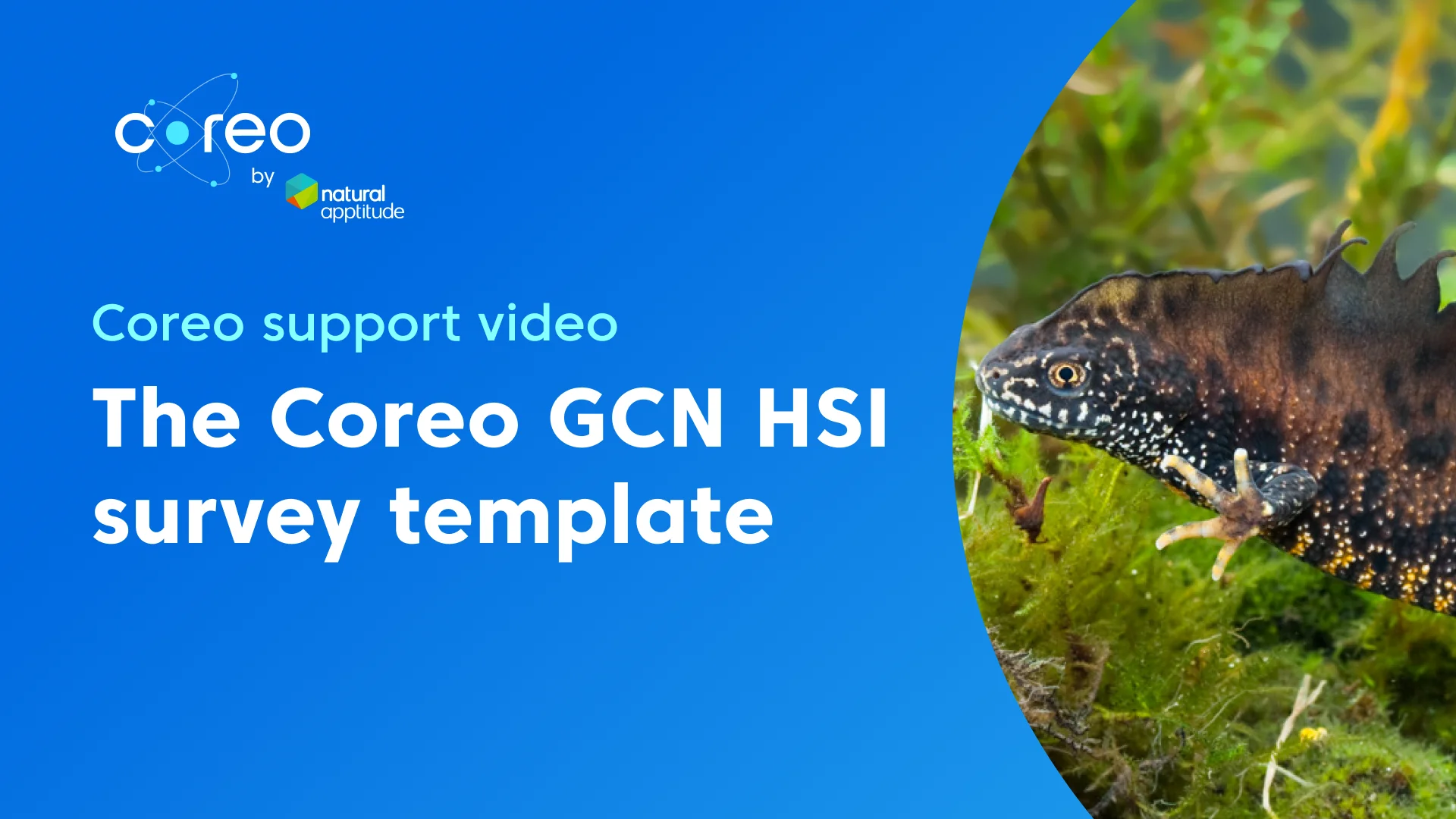 GCN HSI Survey Template on Vimeo