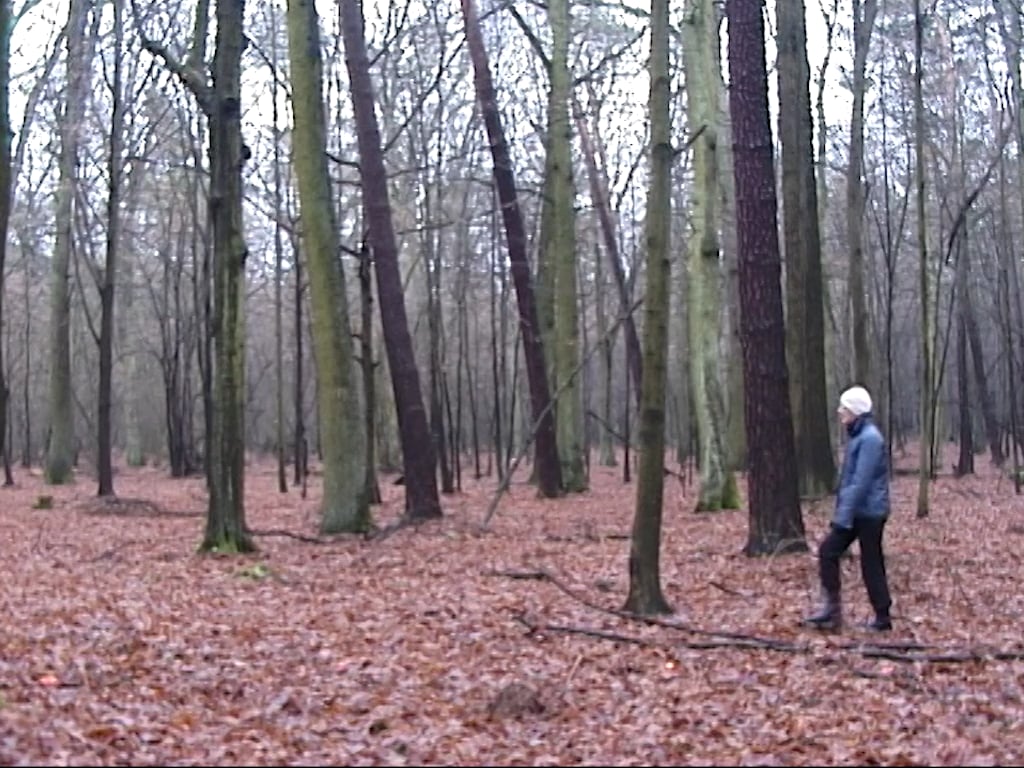 Forest 2008 on Vimeo