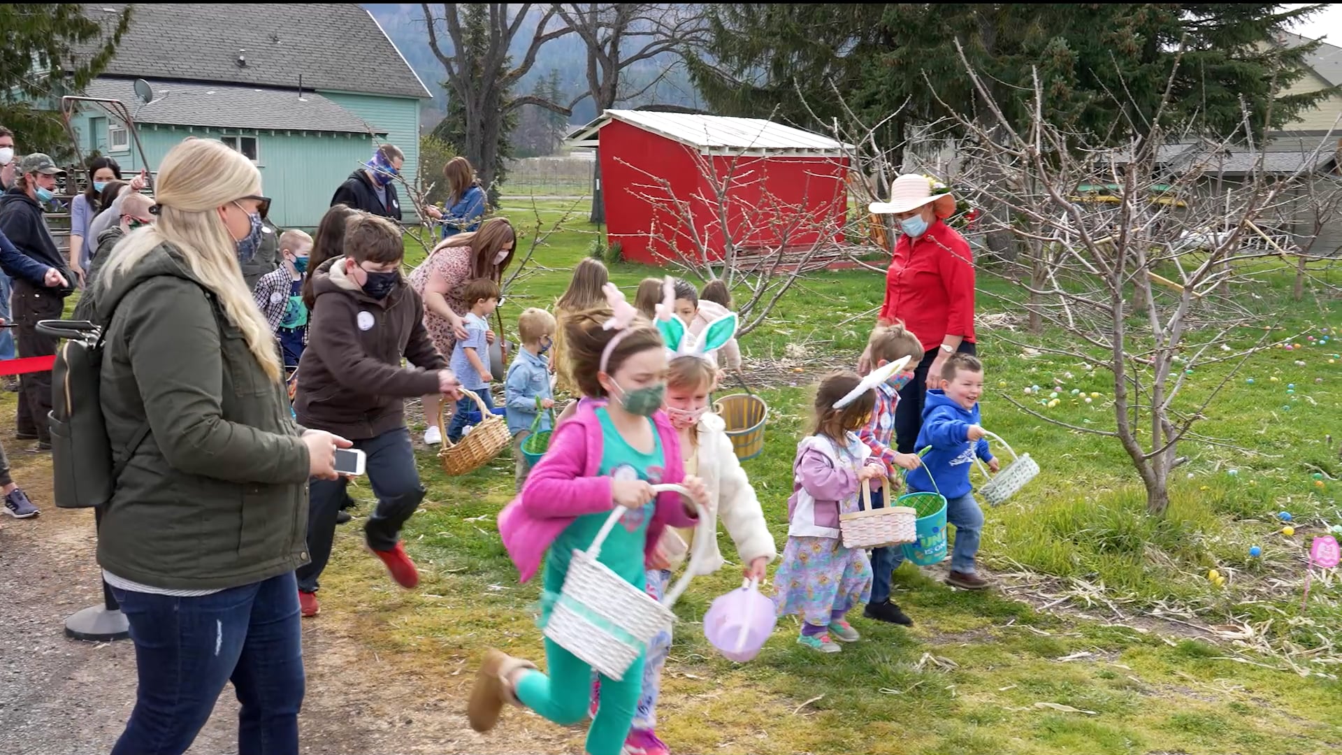 Packer Orchards - Farm, Bakery, Jam, Gift Box, Pumpkin Patch