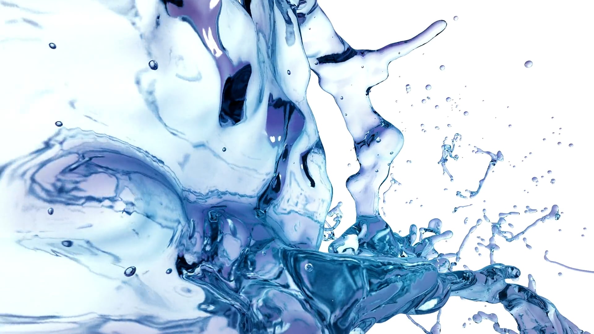 Water Champions - Greywater Systems, Water Conservation