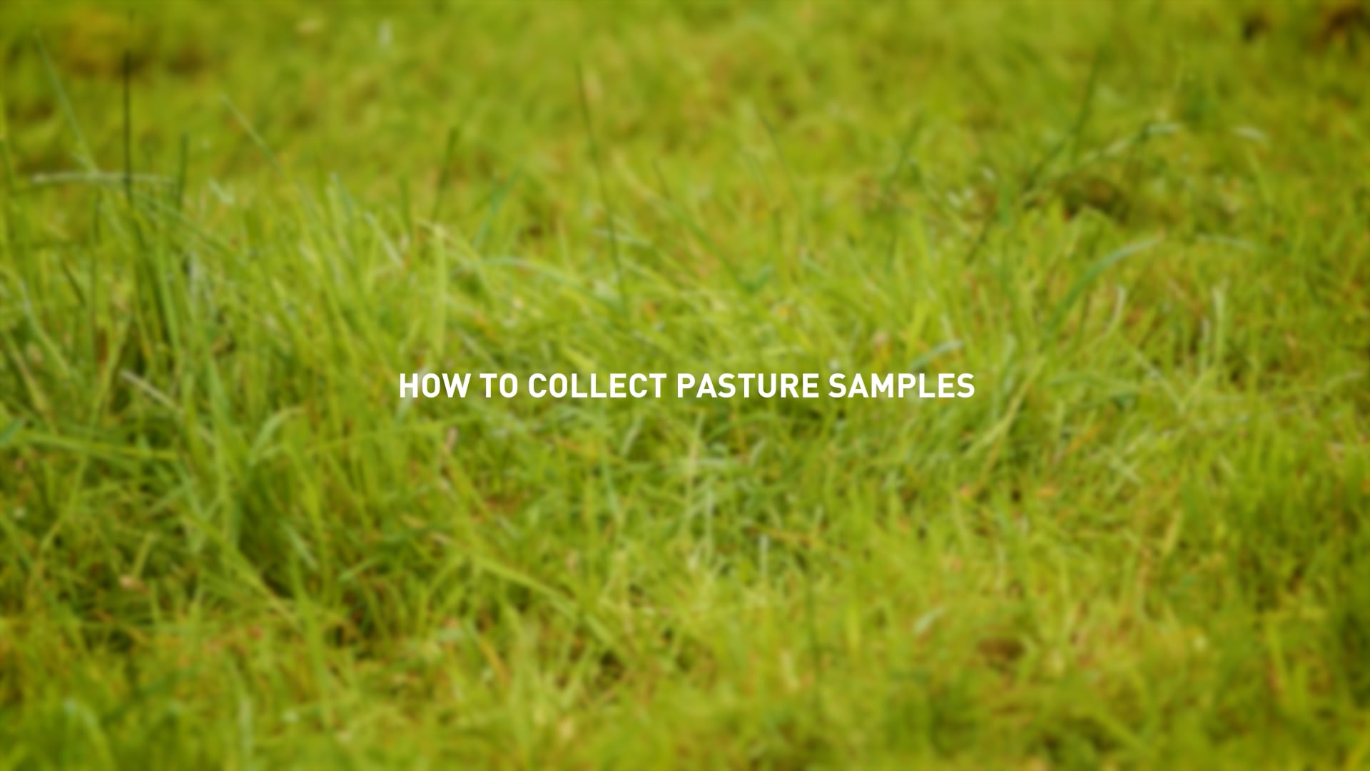 Hill Labs Pasture Sampling Tutorial